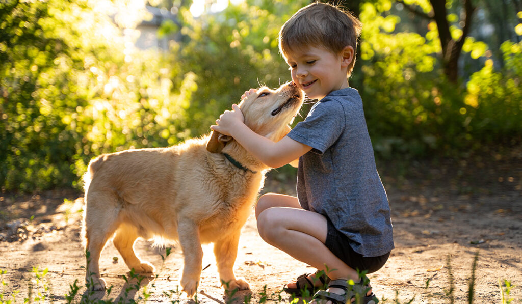 Dog Trainer Nashville Understanding Language Through Behavior: Children ...